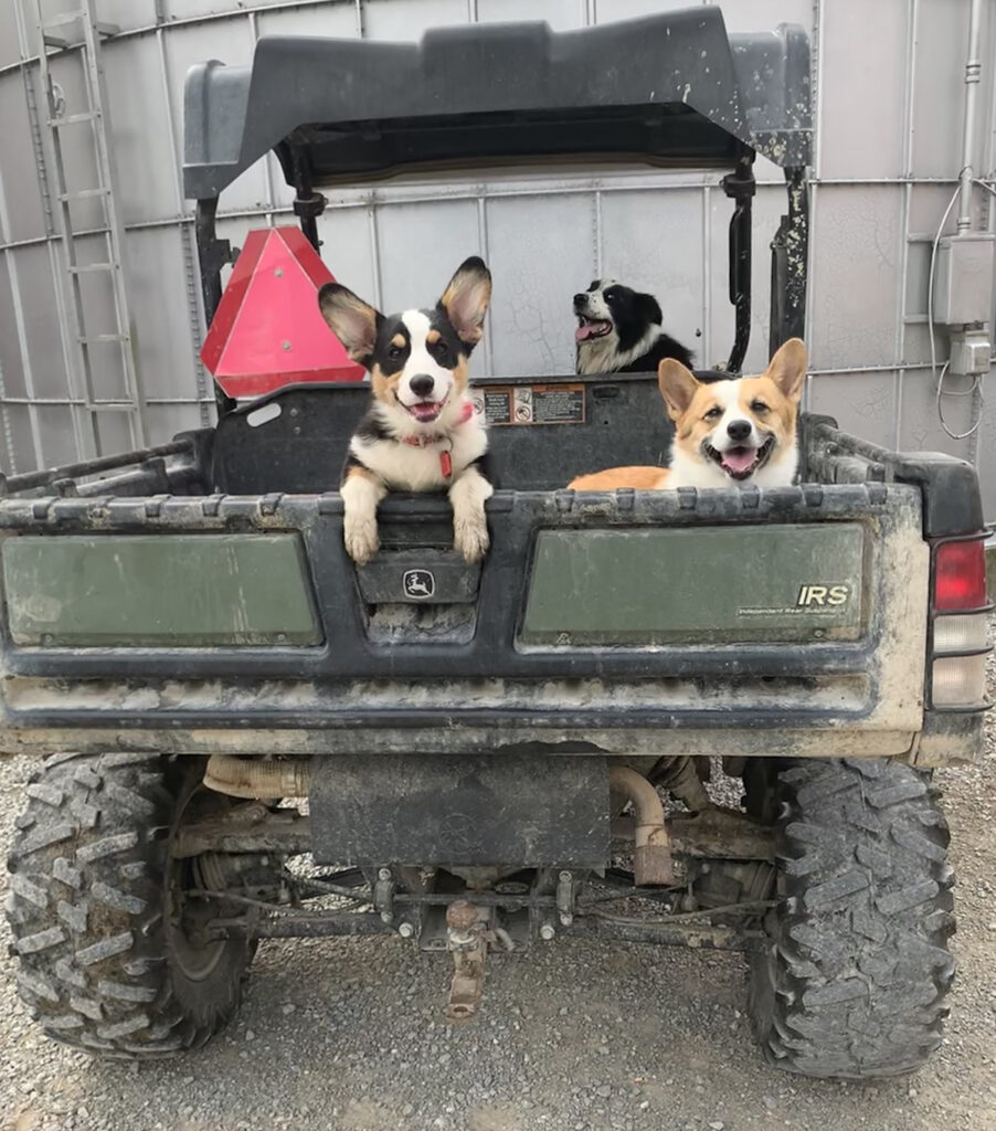 About Us – Fender Club Projects